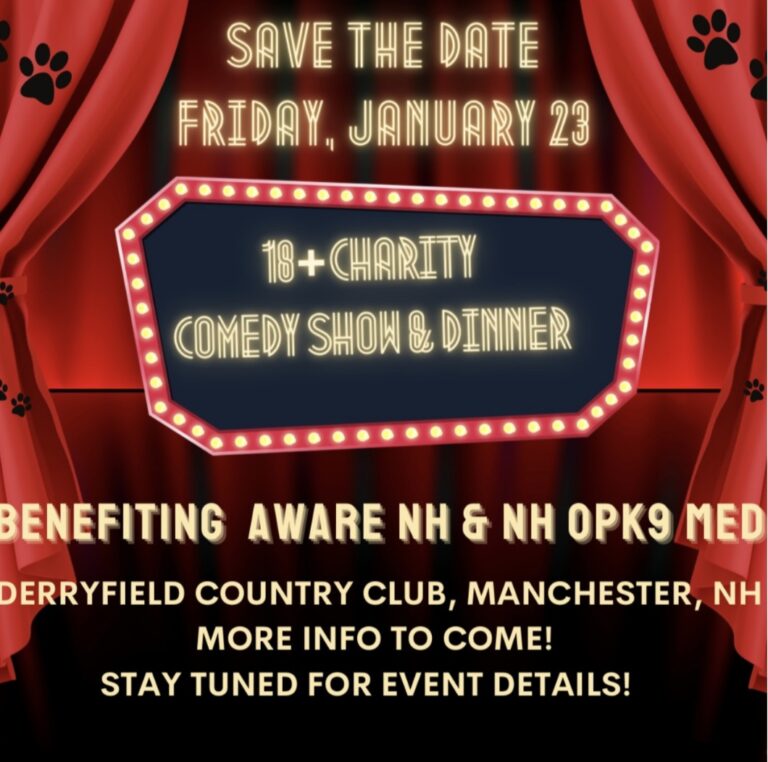 Second Annual Comedy Show Fundraiser: Get Your Tickets Before they Sell ...